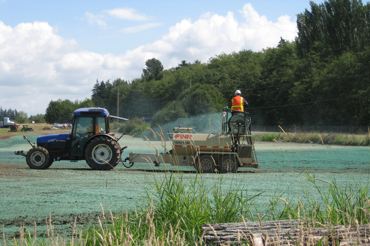 Hydroseeding Bellingham Whatcom Skagit Bai Environmental